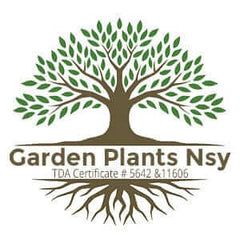 Privets A Comprehensive Guide to Varieties Uses and Care – WholesaleNursery